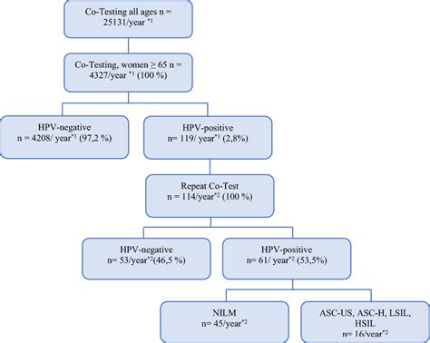 Flow Chart Showing Number Of Hpv Positive Elderly Women Download