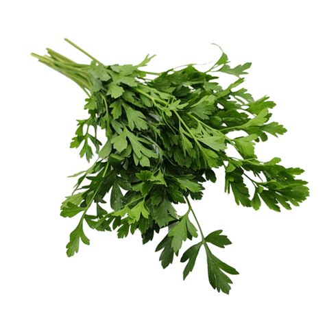 Verdura Box Peršin List Paket