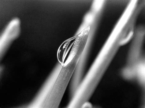 Digital Noise — 10 Classy Examples Of Iso Grain Effect Apn Photography