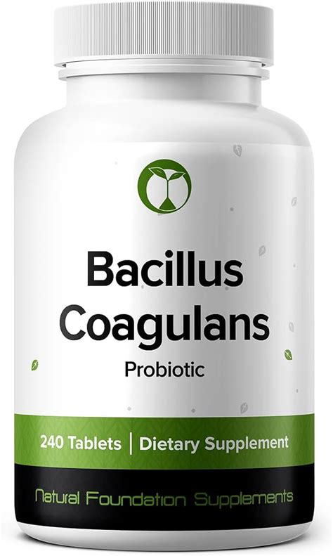 Bacillus Coagulans Probiotic Powder