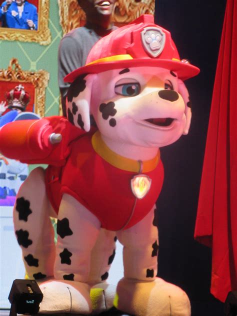 Paw Patrol Live Heroes Unite Marshall By Codetski101 On Deviantart