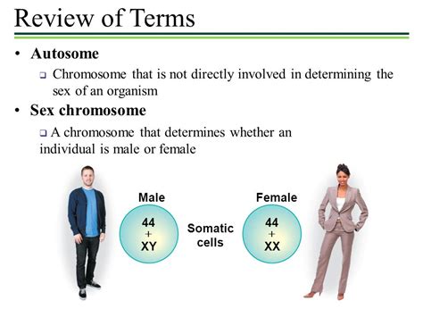 Announcements Sci I 407 M 12 3 530 630 W 8 9 530 630 Ppt