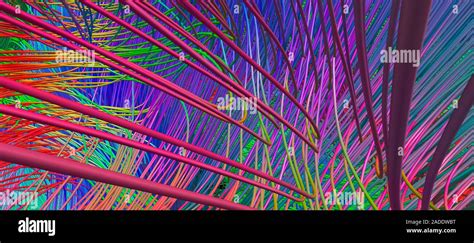 Diffusion Tensor Imaging Dti Scan Reconstructed Brain White Matter