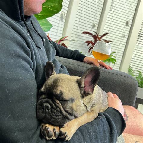 Post From Torvi Lagertha Harald And Astrid Smith