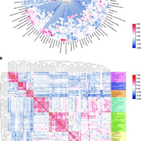 Junyi Shen Southern Medical University Guangzhou Fimmu Research