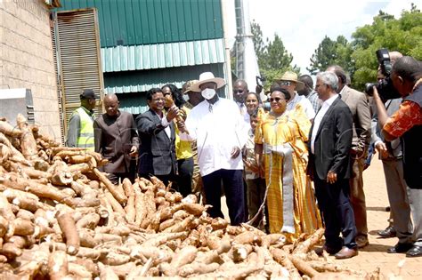 Agric And Environment Museveni Commissions Cassava Factory