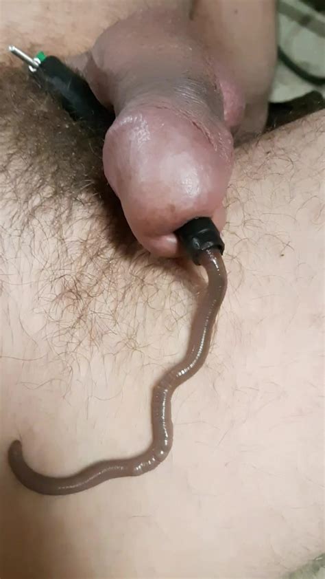 Big Wormsin Cock