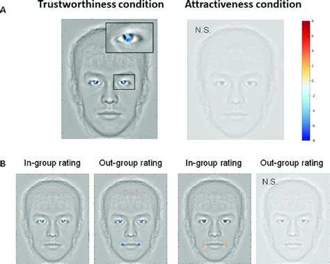 Conjunction Analyses Conjunction Analyses Reveal Among All Download Scientific Diagram