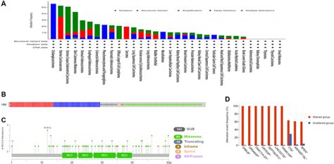 The Genetic Alterations Characteristic Of Rcc2 In Pan Cancers A Download Scientific Diagram