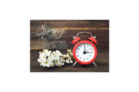 Spring Ahead And Donate To A Top Rated Charitywatch Charity Laurie