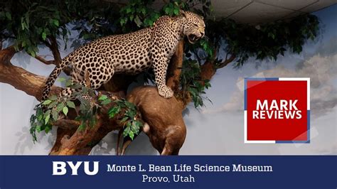 Review Byu Monte L Bean Life Science Museum Youtube