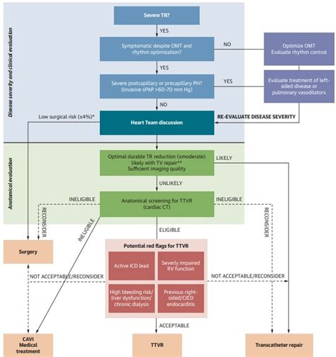 The Heart The Heart Added A New Photo