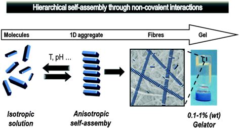 Applying Low Molecular Weight Supramolecular Gelators In An