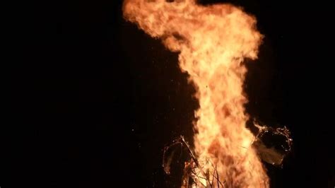 2024 07 05 Firefly Vt Regional Burn Nt Light The Millipede Bug 3 Youtube