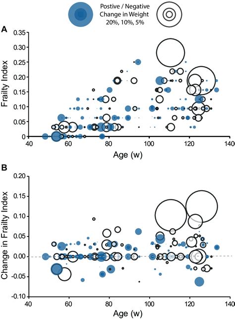 Video Frailty Assessment In An Aging Mouse Model