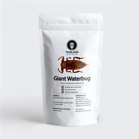 Edible Giant Water Scorpions