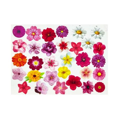 Sugar Sheet Assortment Of Flowers X31 Planète Gateau