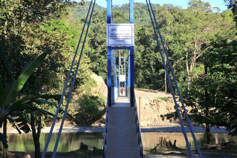 Construirán 100 Puentes Zarzos Para Evitar Más Víctimas En Comarcas