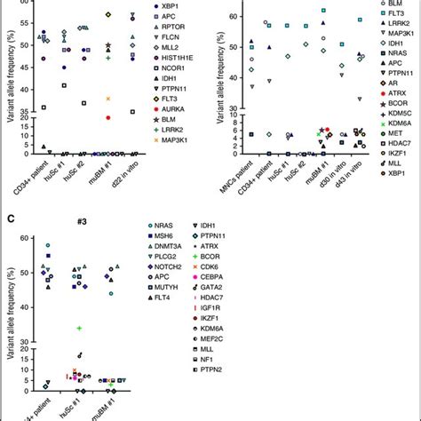 Mouse Xenograft Aml Model Using Sample Aml 2 A Download