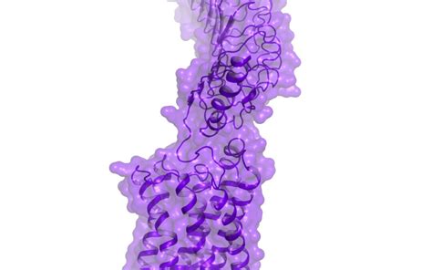 Negative Allosteric Modulator Archives Septerna