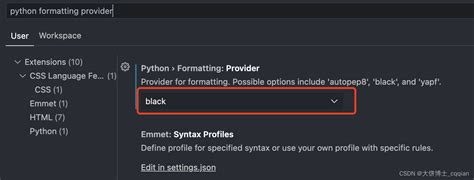 Black Vs Code Python Pep Vscode Python Black Csdn
