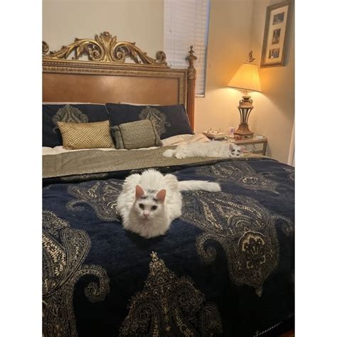 Ryan 6pc Comforter Set Bed Bath And Beyond 36601885