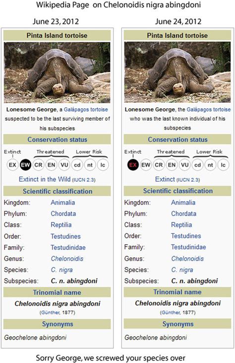 Friday Internet Bull Vacation Version Electro Kami