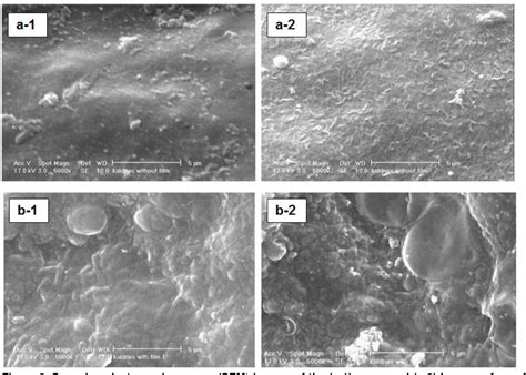 Figure 3 From Simultaneous Nitrification Denitrification In A Sequencing Batch Reactor Equipped