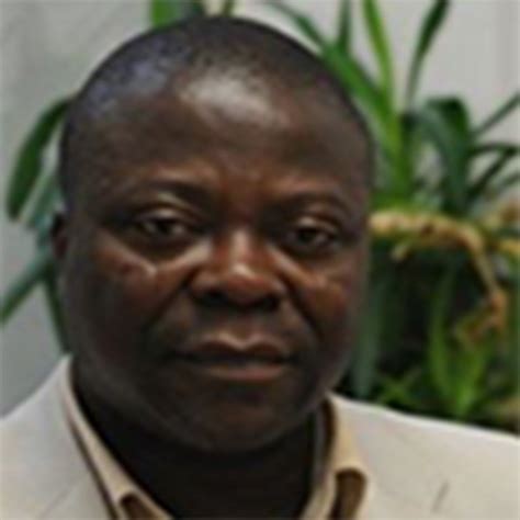 Reality Of Aid Africa