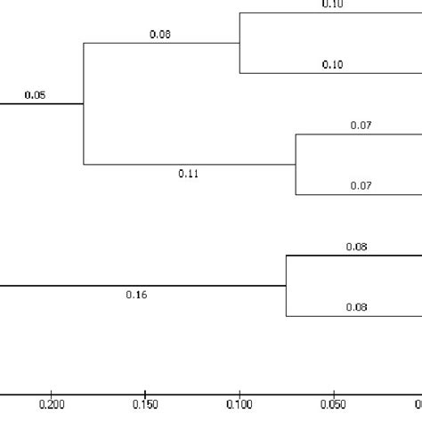 Unweighted Pair Group Method With Arithmetic Mean Upgma Tree Of Six