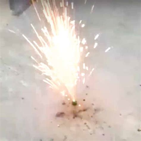 Tazmania Ground Firework Spinner With Crackling Effect Showtime Fireworks