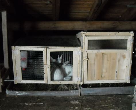 Custom Made Rabbit Hutches For Sale At Valeria Sturm Blog