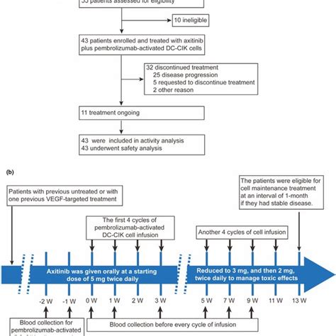 Clinical Trial Diagram And Protocol A Flow Diagram Illustrating The Download Scientific