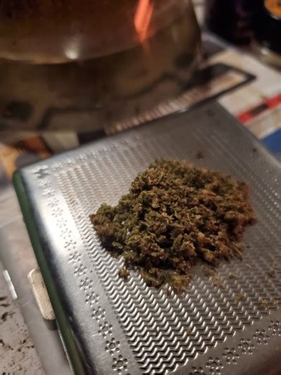 Phat Doobie A Journey Tumbex