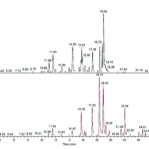 Chromatograms In Negative A And Positive B Esi Mode Of The