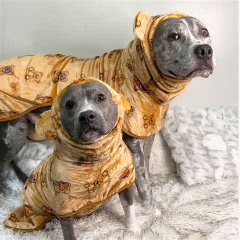 Teddy Blanket Robe Tooth And Honey