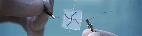 New Paper Published “a Microfluidic Chip Carrier Including Temperature