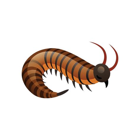 Giant African Millipede Isolated Flat Illustration On White Background 53638909 Vector Art At