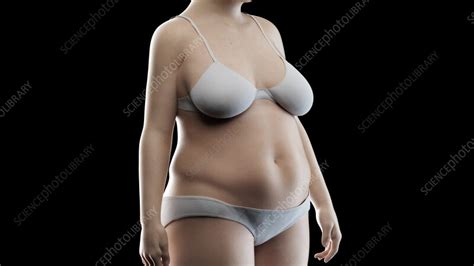 Animation Of A Woman S Transition To A Fitter Body Stock Video Clip K012 1261 Science