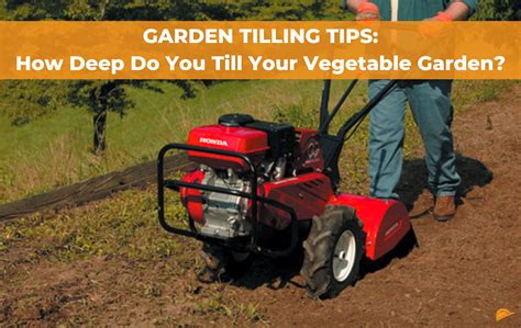 Tilling Garden To Till Or Not To Till Garden Housecalls
