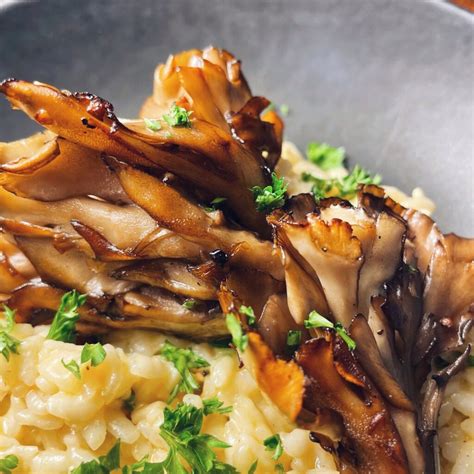 Vegan Maitake Parm Risotto Faraway Kitchen