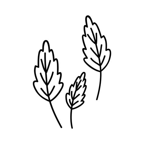 Grass Leaves Vector Design 17170401 Vector Art At Vecteezy