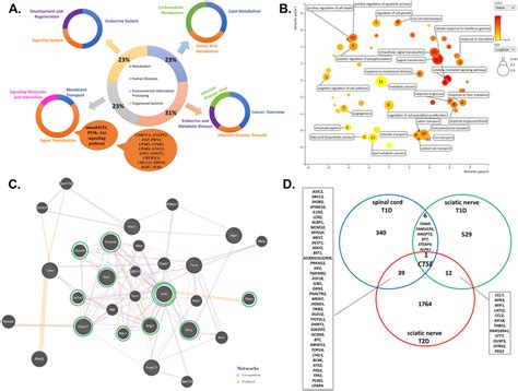 Functional Degs Analysis A The Diagram Of Expression Data For Degs Download Scientific Diagram