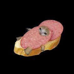 Cursed Images