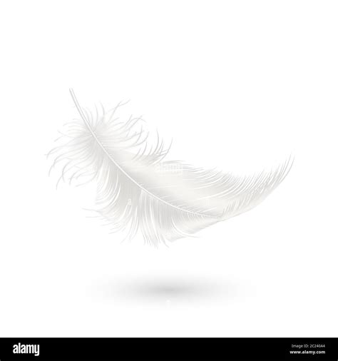 Falling Feather Wallpaper