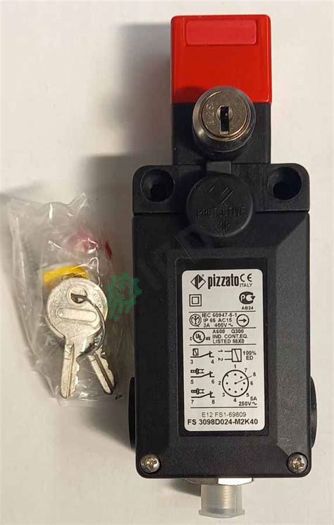 Pizzato Fs 3098 D 024 M2k40 2nc In Stock In Icdc
