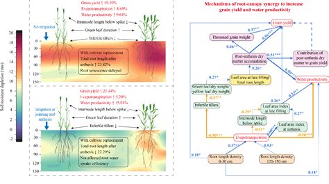 李云海团队发现了调控茎尖分生组织大小和器官大小的重要分子联系中国科学院遗传与发育生物学研究所