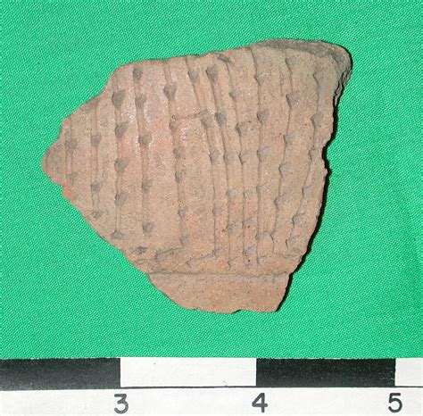 Punctated Types Peach State Archaeological Society