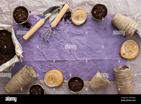 Planting Seedlings Of Tomato Top View On A Table With Eco Friendly