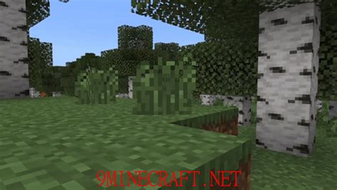 Just Animated Grass Pack 119 118 Mcpebedrock Texture Pack Mc Modnet